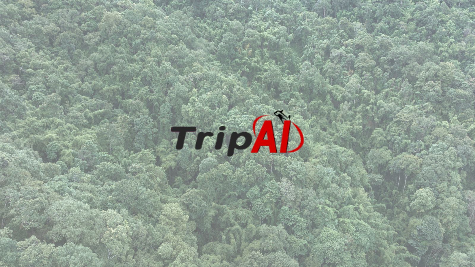 TripAI Push Sustainablity With Status & Emissions Data | Q&A | OAG